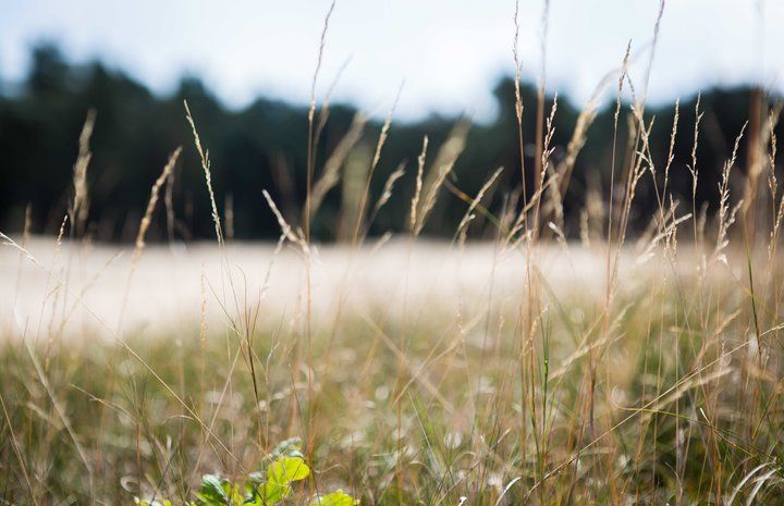 Buitenplaats de Bergse Bossen in Driebergen - Aanbiedingen Hotel Specials