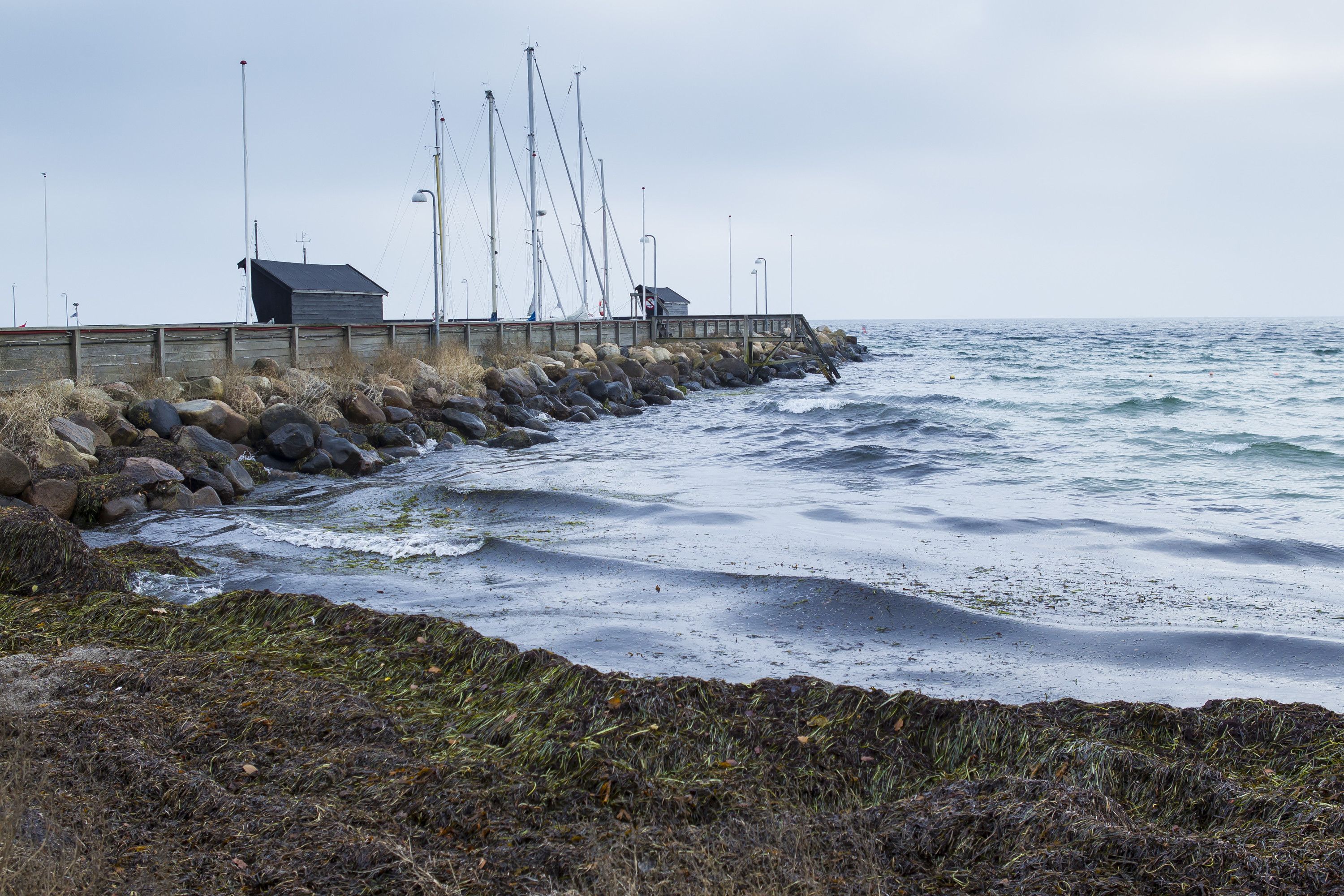 Comwell Borupgaard in Snekkersten - Aanbiedingen Hotel Specials